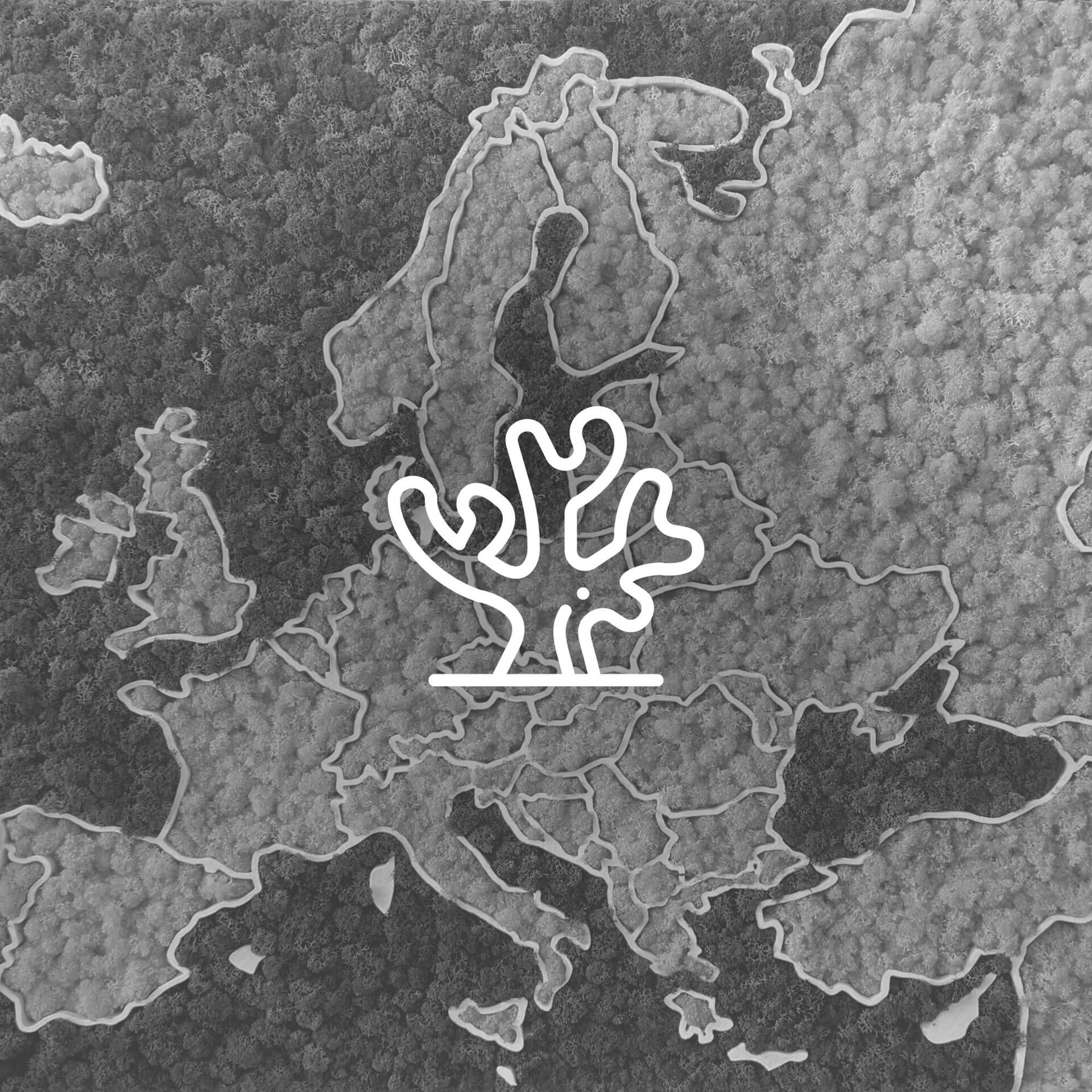 Bestsellers 3d moss maps | 68travel