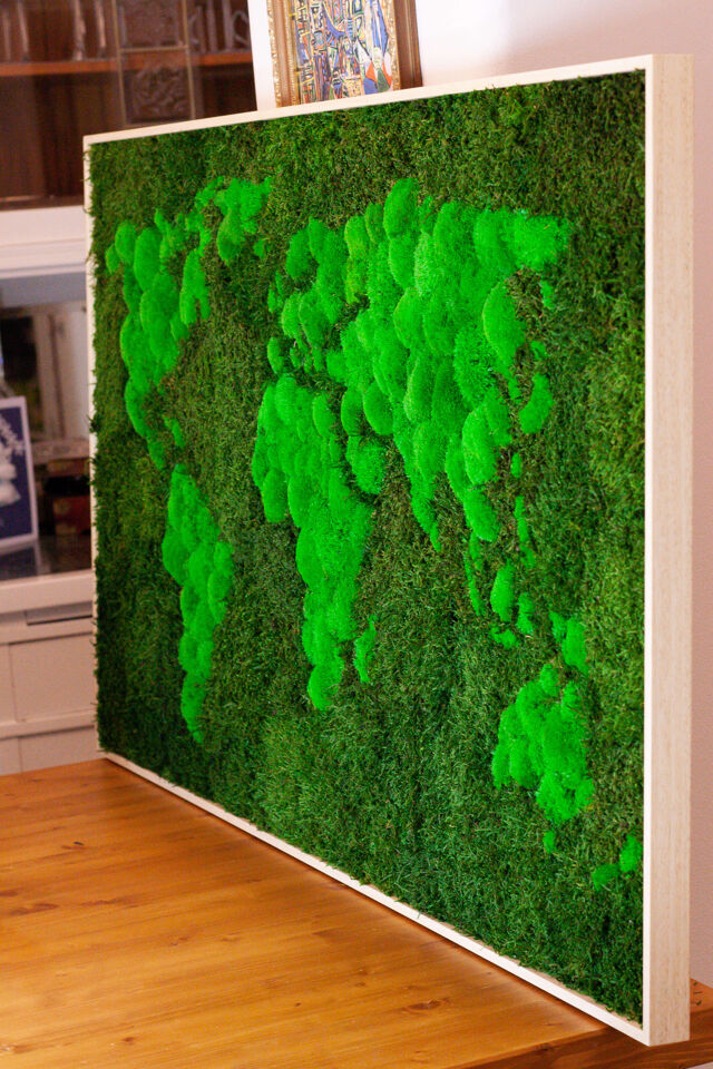 Moss World 3D Map | 68travel