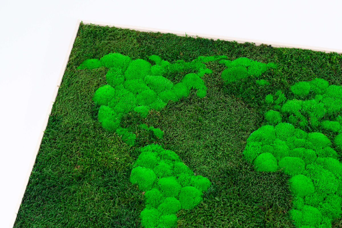 Moss World 3D Map | 68travel