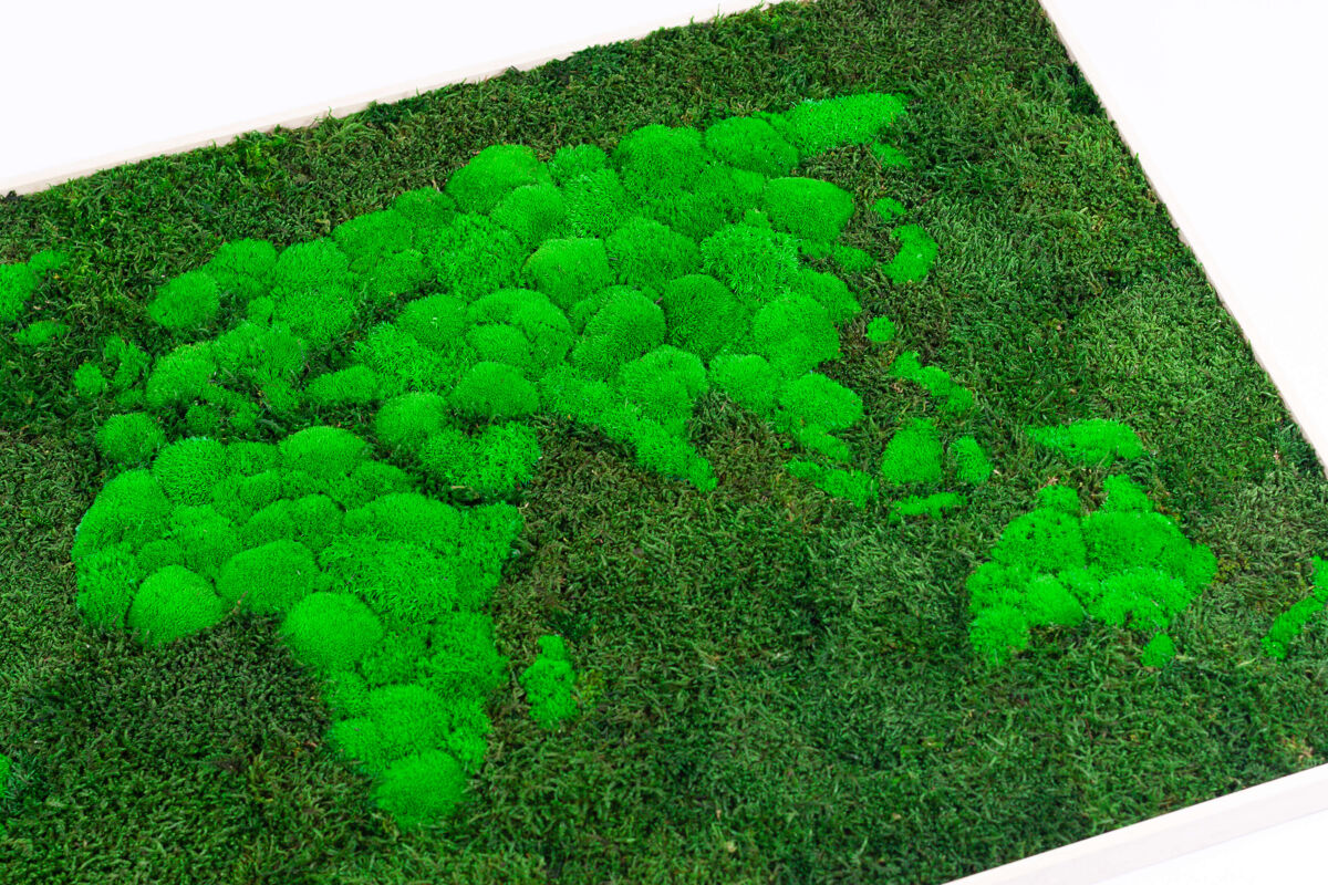 Moss World 3D Map | 68travel